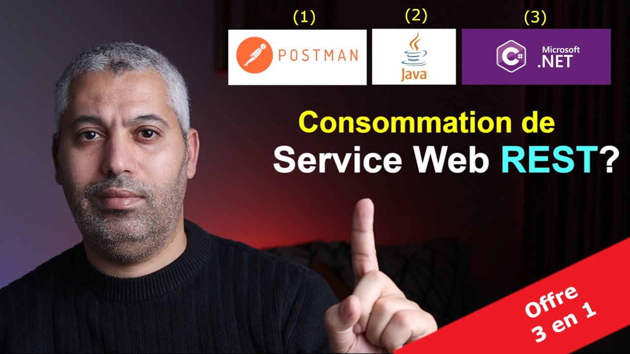 Maîtriser les services web RESTful en Java - Javanais